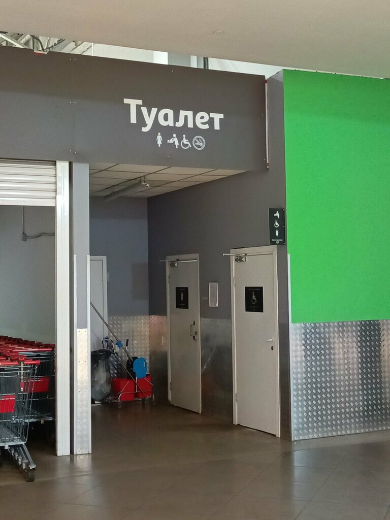 Engelliler için tuvalet Туалет для инвалидов, Moskova ve Moskovskaya oblastı, foto