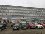 Diamonds (Bardina Avenue No:42), dans okulları  Novokuznetsk'ten