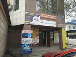 Elge Komek (Tamerlan tas joly No:43/5), muhasebeciler  Çimkent'ten (Şımkent'ten)