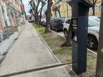 Паркомат № 13528 (Sobornaya Street No:3), parkomat  Riazan'dan