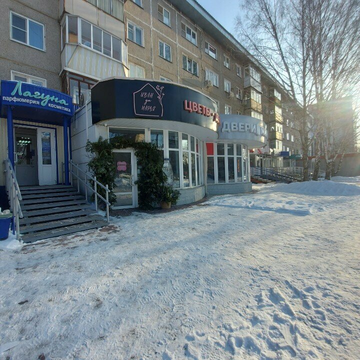 Çiçekçiler Иван да Марья, Novokuznetsk, foto