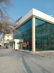 Qiwi (Táýke Han dańǵyly No:49), ödeme terminali  Çimkent'ten (Şımkent'ten)