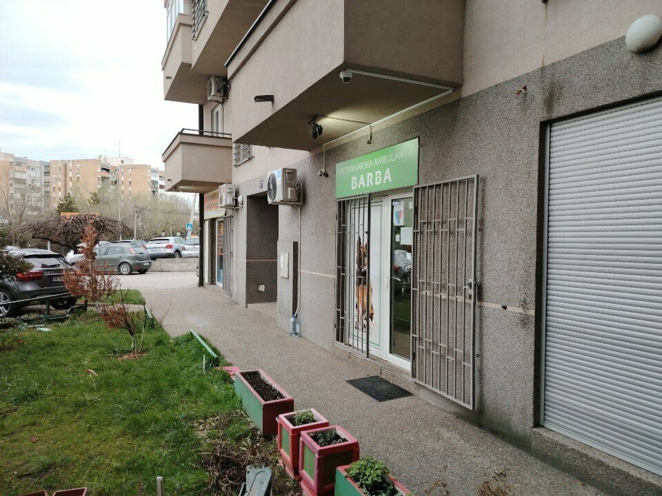Veteriner klinikleri Barba, Belgrad, foto