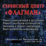 IT Flagman (Militsionnaya ulitsa No:3А), bilgisayar teknik servisleri  Miçurinsk'ten