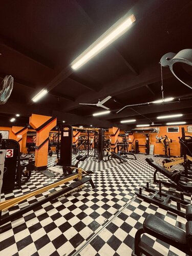 Fitness kulüpleri Medved, Nevai, foto