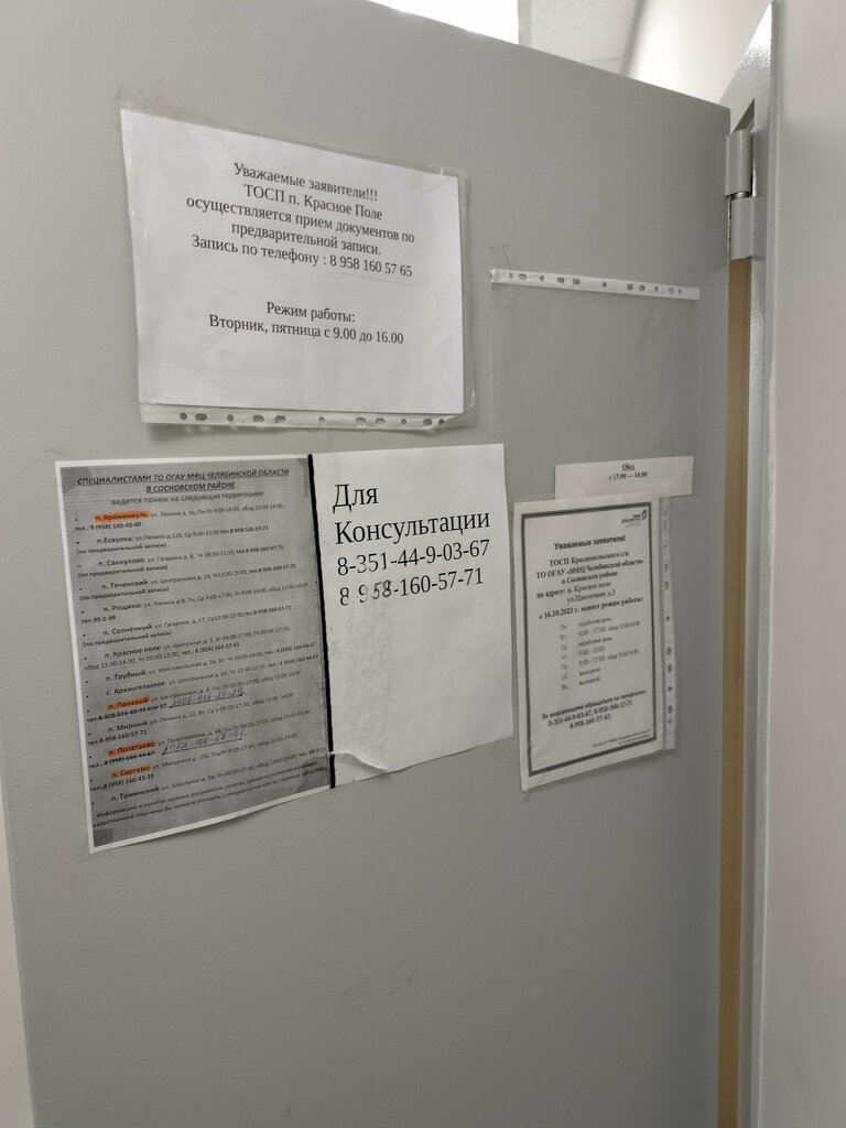 Belediye ve kamu hizmetleri merkezi МФЦ Мои документы, Çeliabinskaya oblastı, foto