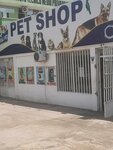 Pet Shop (Luanda, Avenida Pedro de Castro Van Dúnem Loy), petshop  Loanda'dan