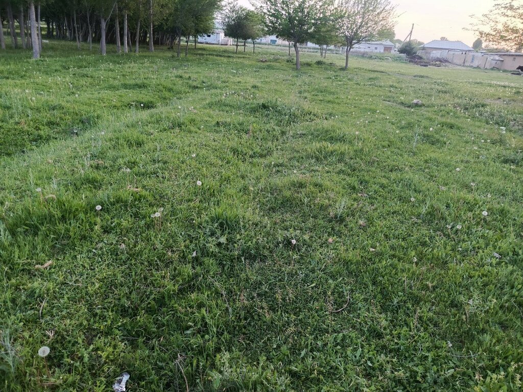 Ortaokul School No. 3, Semerkant eyaleti, foto