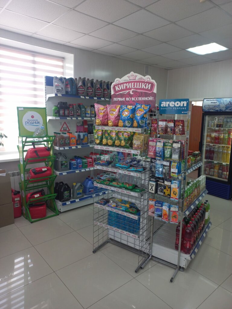 Benzin istasyonu АльянсЭко, Азс-13, Tambovskaya oblastı, foto