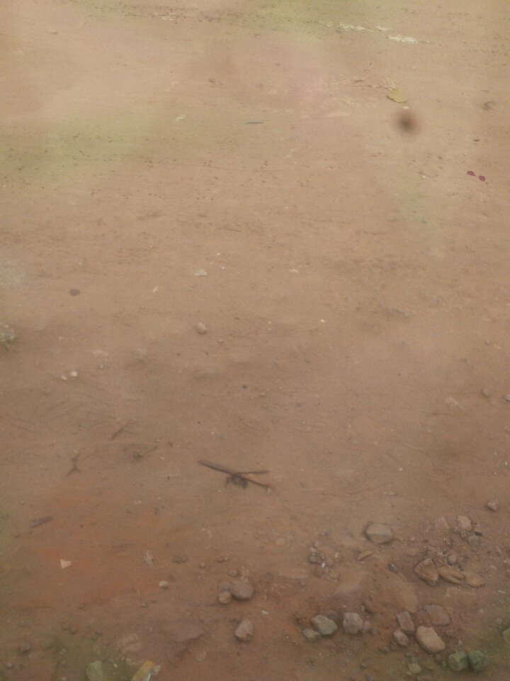 Kantin, yemekhane Cantina, Loanda, foto