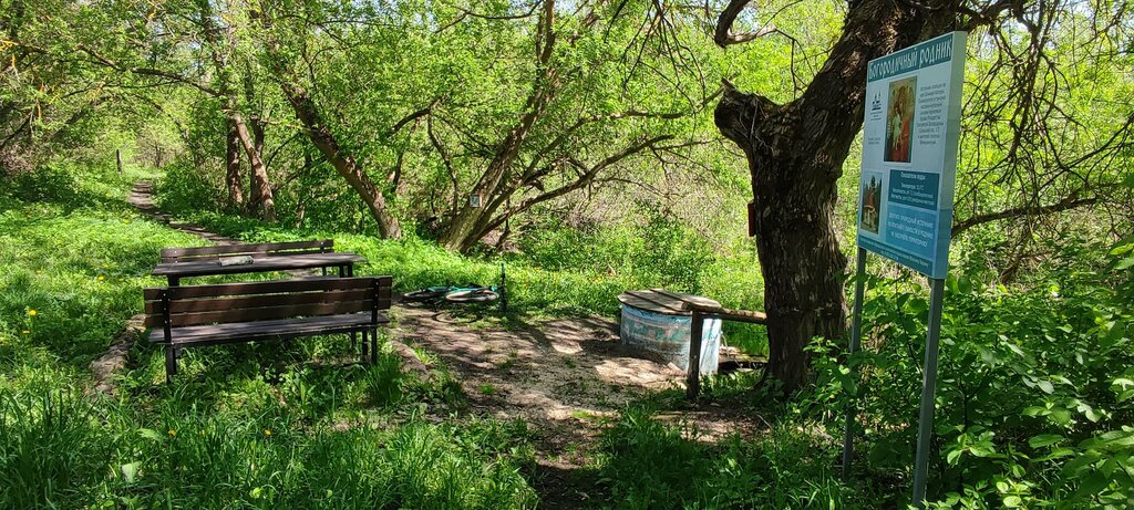 Pınar, çay Богородичный родник, Penzenskaya oblastı, foto