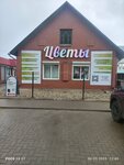 Империя цветов (ulitsa Lomonosova No:5), çiçekçiler  Velsk'ten