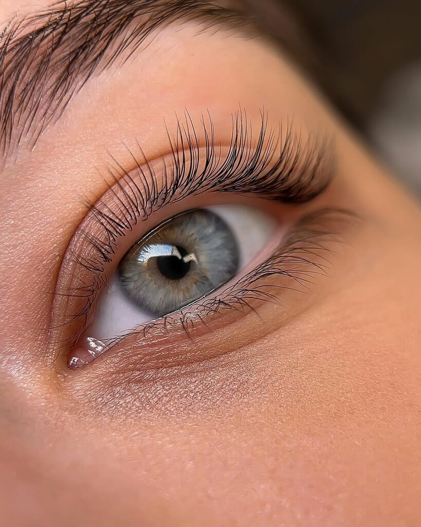 Kaş ve kirpik salonu Nati. Sugar, Novosibirsk, foto