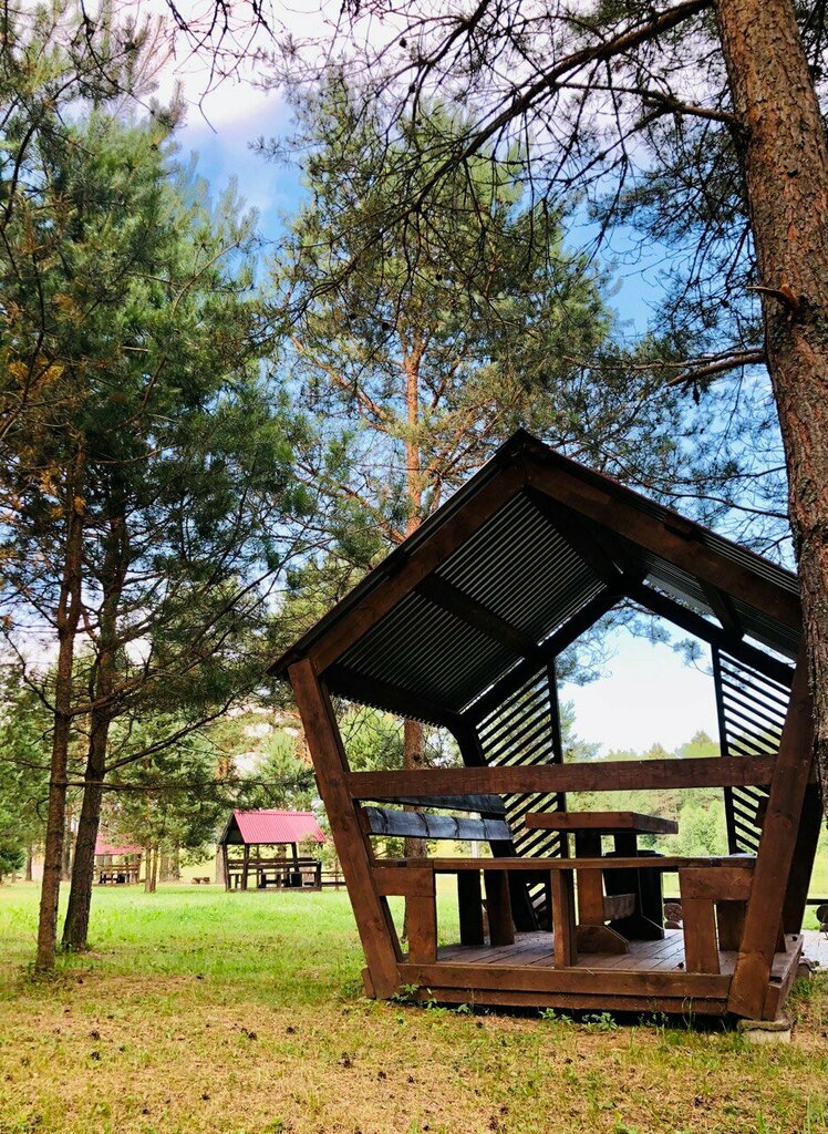 Tatil köyleri Золотой Карась, Vladimirskaya oblastı, foto