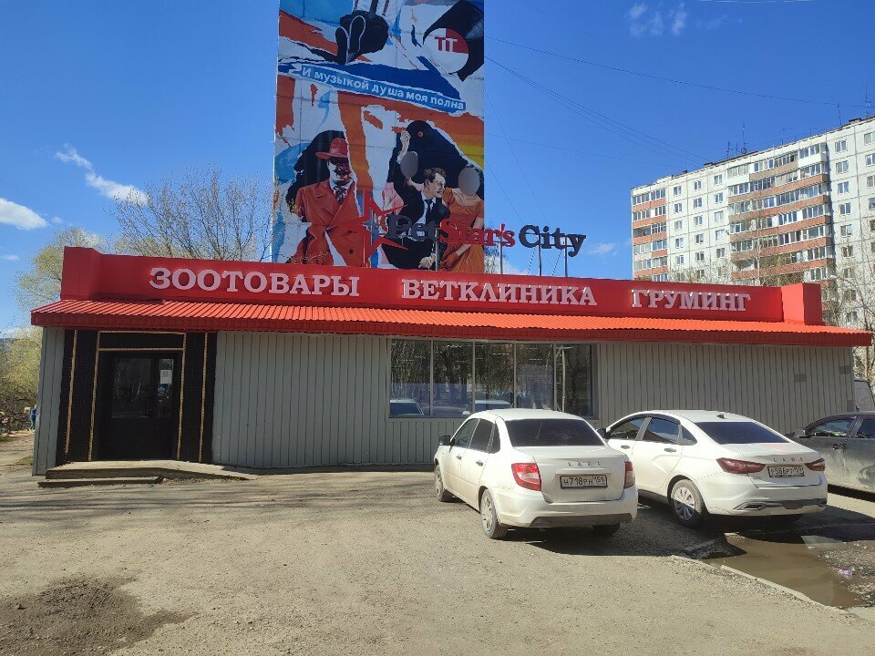 Veteriner klinikleri PetStar’s, Perm, foto