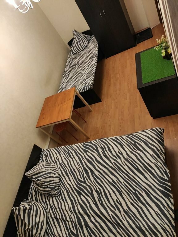Hostel Mini-Hotel Zebra, Saint‑Petersburg, foto