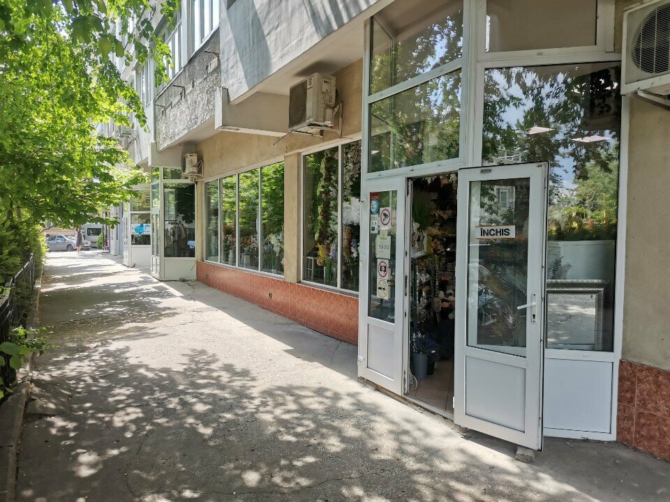 Ev eşyası mağazaları Dendrobium, Kişinev, foto