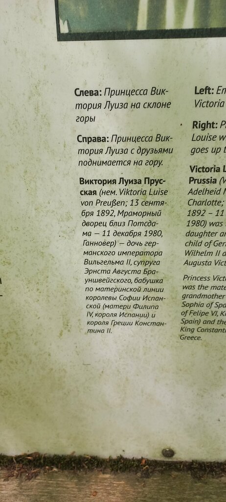 Dağ zirvesi Гора Дозор 230 метров, Kaliningradskaya oblastı, foto