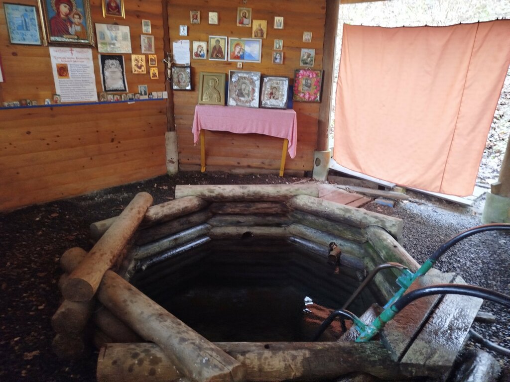 Pınar, çay Spring, stream, Briansk, foto