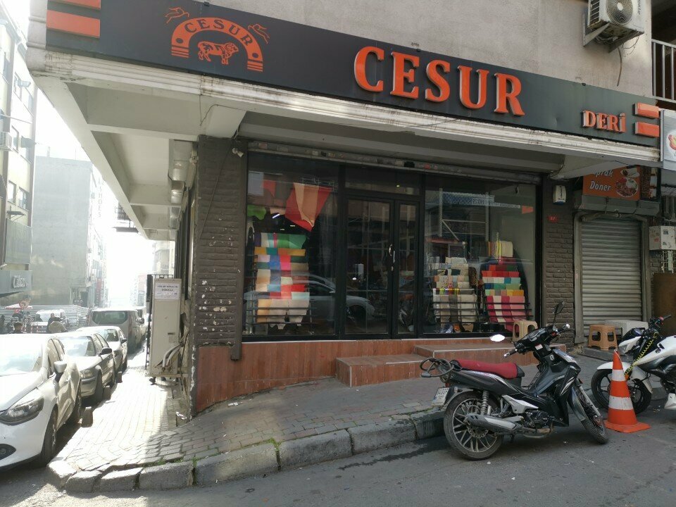 Kürk ve deri giyim mağazaları Cesur Deri, İstanbul, foto