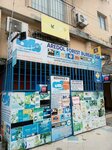 Aredol Forest Bureau Sarl (Avenue Christiani No:45, Treichville), para transferleri  Abican'dan