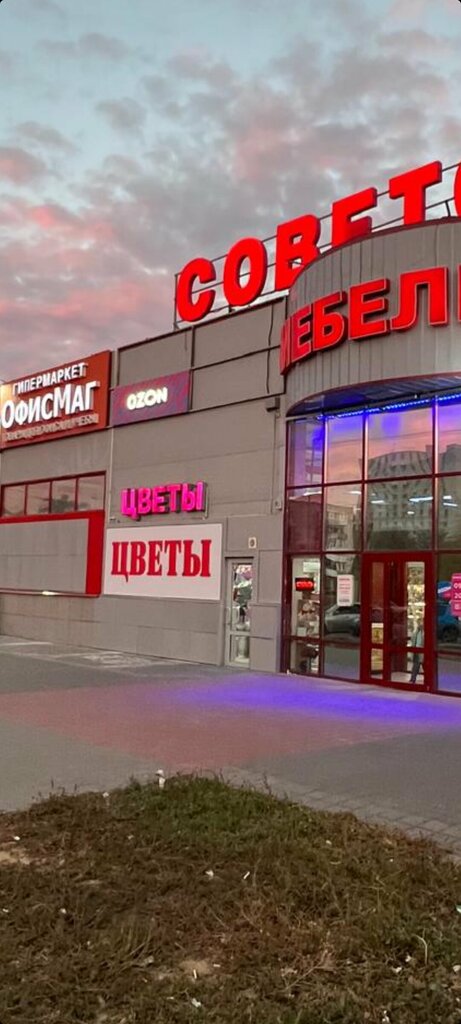 Çiçekçiler Tsvety, Volgograd, foto