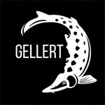 Gellert (Nezavisimosti Street No:78к2), pub  Voronej'den