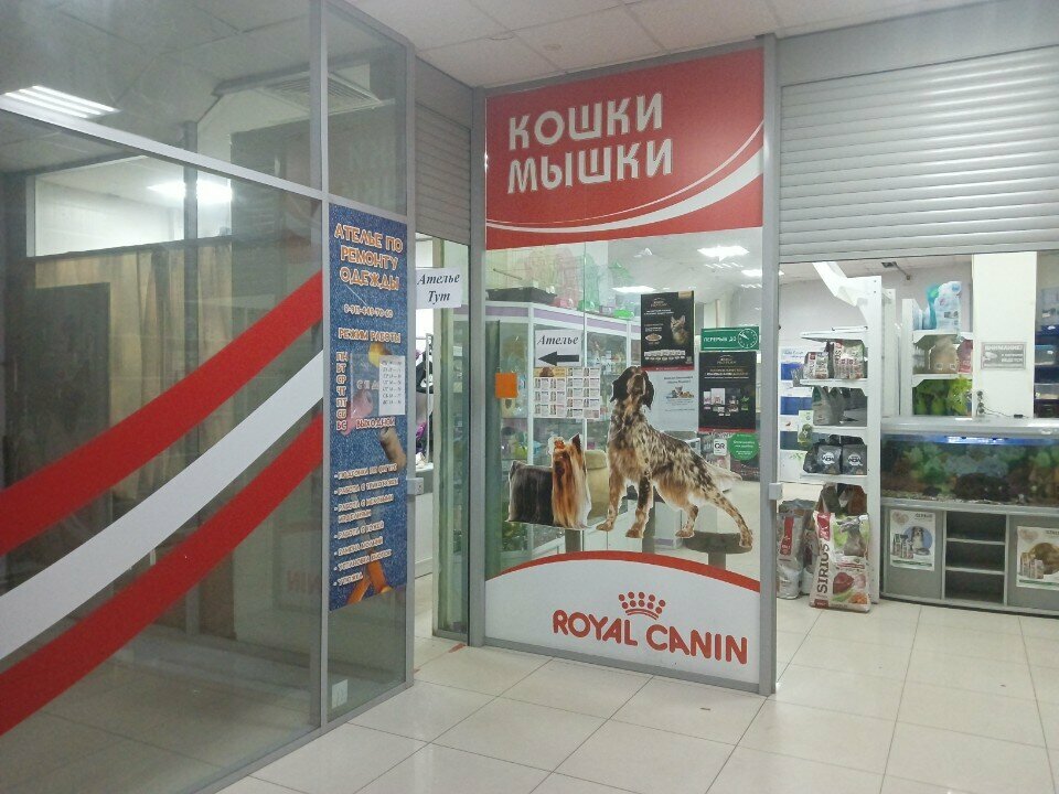 Petshop Кошки Мышки, Vologda, foto