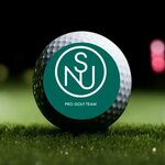 Академия гольфа Nsu (Novokurkinskoye Highway No:1), spor okulları  Moskova'dan