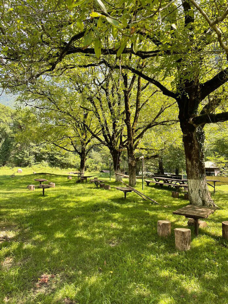 Kafe Апацха Рица, Gagra Bölgesi, foto