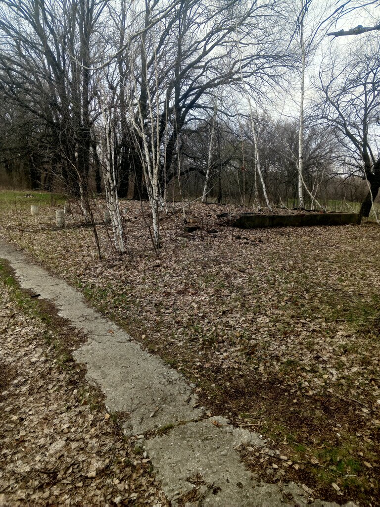 Resort oteller, tesisler Дубки, Samarskaya oblastı, foto