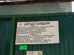 Bus station (Homieĺskaja voblasć, Svietlagorsk, vulica Mirašničenki), toplu taşıma durağı  Svetlahorsk'tan