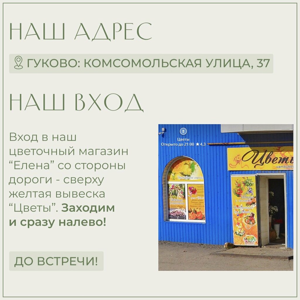 Çiçekçiler Elena, Gukovo, foto