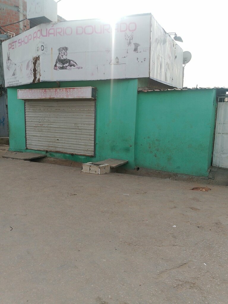 Petshop Aquário dourado, Loanda, foto