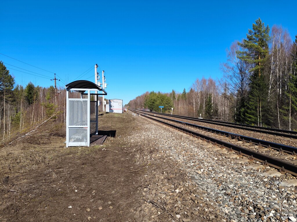 Tren istasyonu остановочный пункт 1141 километр, Arhangelskaya oblastı, foto