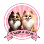 Haggis & Molly (Dzerzhinskogo Street No:78), evcil hayvan kuaförleri  Kaluga'dan
