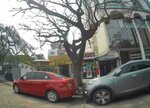 Copy Shop (Santa Cruz de la Sierra, Avenida Beni, 18), fotokopi dükkanları  Bolivya'dan