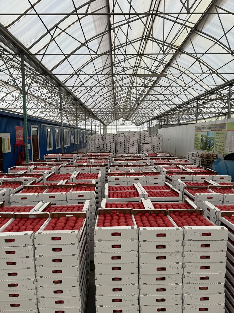 Seracılık Dagtomat, Makhachkala, foto