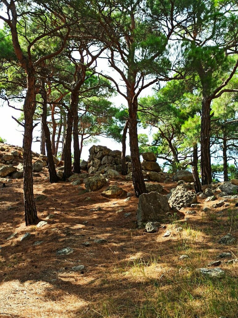 Turistik yerler Руины поселения X-XV веков, Sevastopol, foto