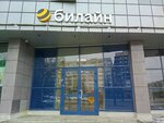 билайн (Bukharestskaya Street No:74к3), ödeme terminali  Saint‑Petersburg'dan