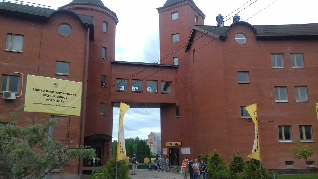Kısa süreli konaklama Lesnaya Skazka, Moskova ve Moskovskaya oblastı, foto