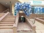 Aen Flowers (Saýran kóshesi No:3/1), çiçek teslimatı  Astana'dan
