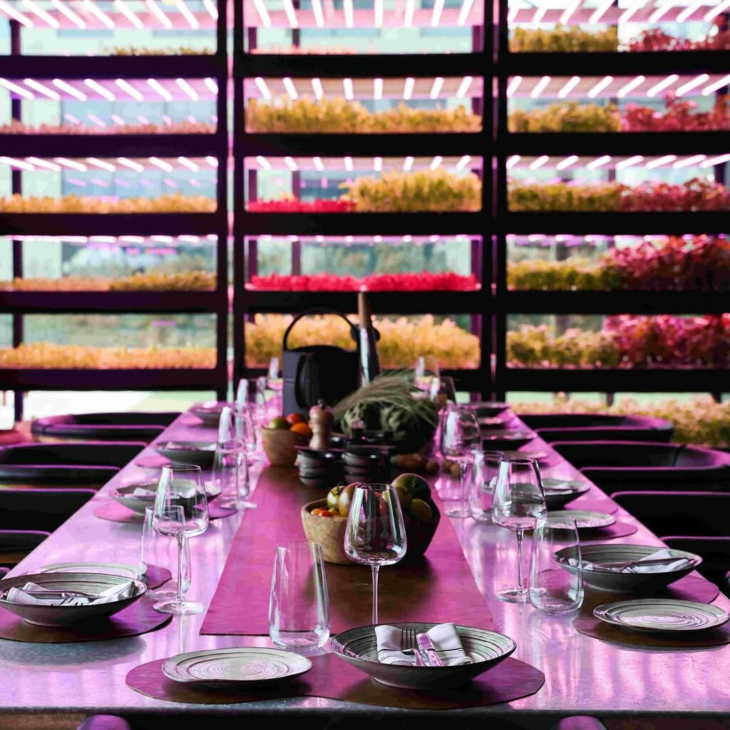 Restoran Acquasale by Cucina, Dubai, foto