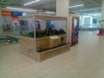 Игровой автомат (ulitsa Muzhestva No:10), oyun makinesi  Krasnoyarsk'tan