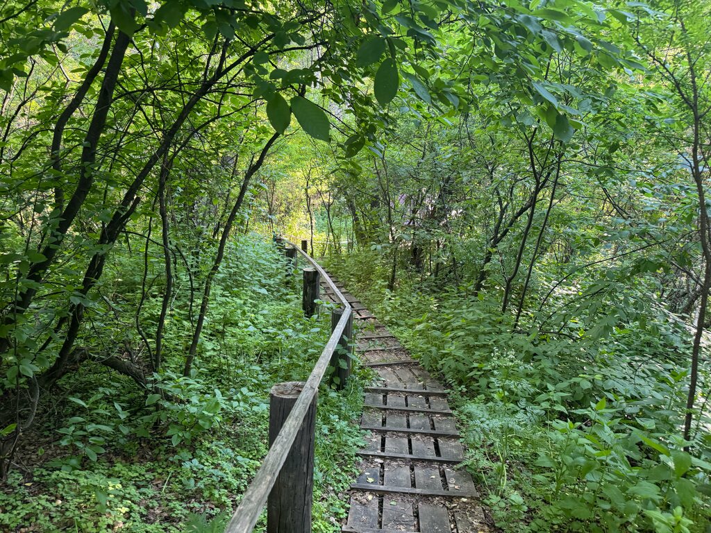 Pınar, çay Святой источник, освященный в честь Казанской иконы Божьей Матери, , foto