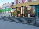 Alyssum (Leningradskaya ulitsa No:1/2), terziler  Surgut'tan