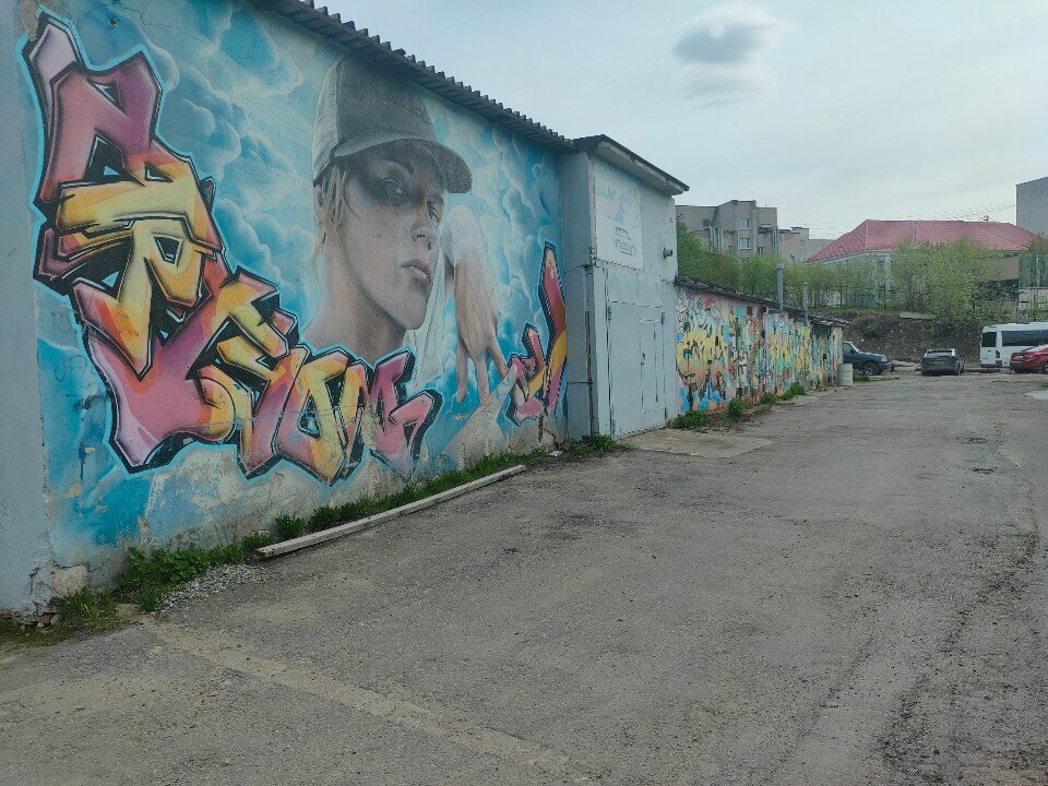Araç camlarının renklendirilmesi Tonirovka_murmansk, Murmansk, foto