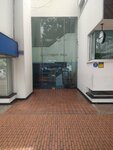 Euroflooring SAS Pisos Laminados y Spc Bogotá (Bogotá, Chapinero, Avenida Carrera 19, 103-91), zemin döşeme üretim ve satış firmaları  Bogota'dan