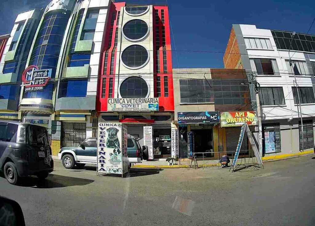 Veteriner klinikleri Cdvet Veterinary Clinic, El Alto, foto