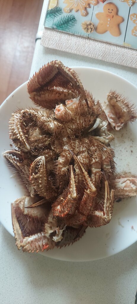 Bira dükkanı Пиво у Мишани, Moskova, foto